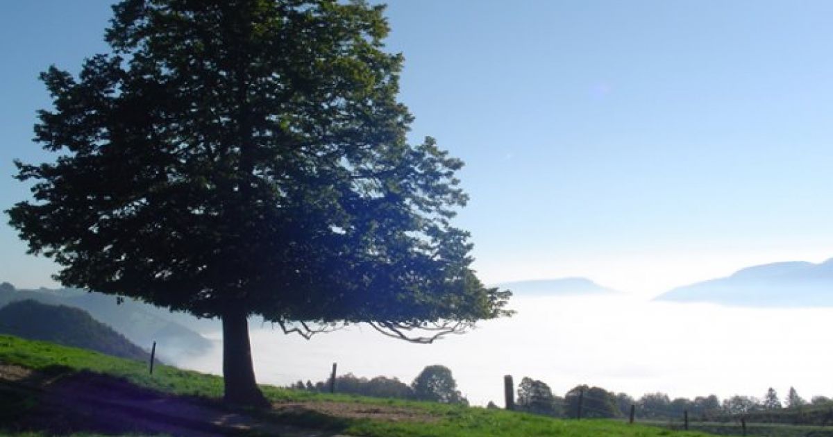 Parc naturel régional de Thal