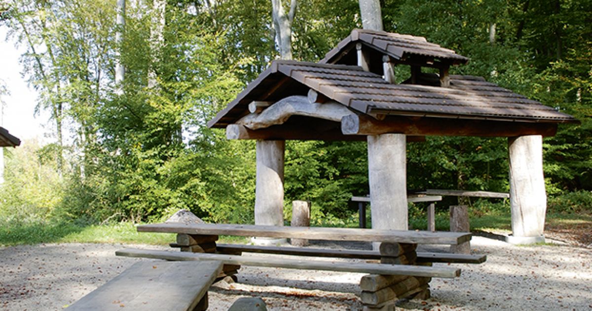Cabane forestière du Rond-Bois