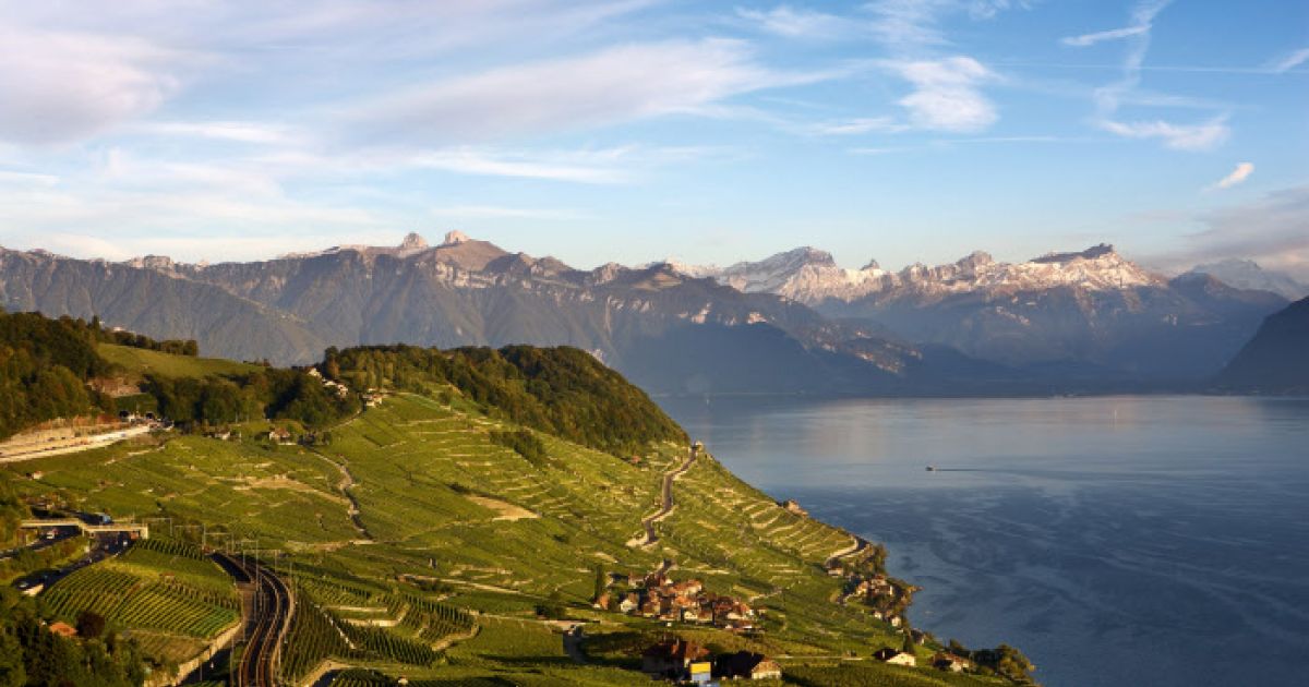 Lavaux - Vaud - Lutry
