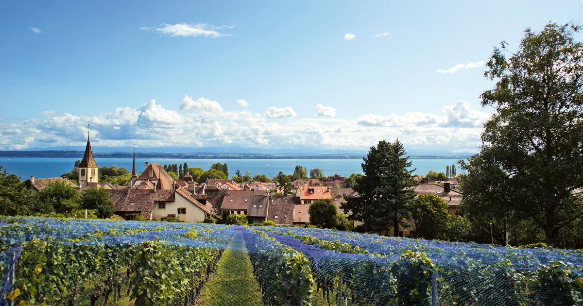 Rando panoramique d'Auvernier à Colombier - Lac de Neuchâtel