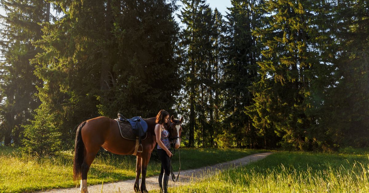 Tous en selle - Bon pour une balade à cheval